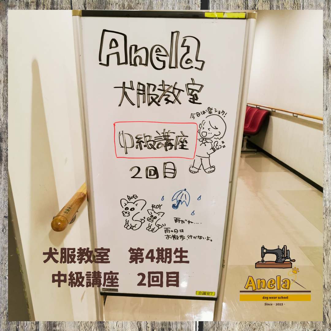 犬服教室 第4期生 中級講座 2回目☆本日、開催いたしました☆ | ブログ | 犬の服ならオリジナリティー溢れるAnela